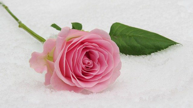 1st Wedding Anniversary Quotes For Son And Daughter In Law Love Messages